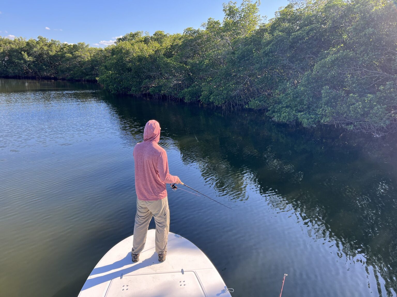 The Complete Guide to Tarpon and Tarpon Fishing in Tampa Bay