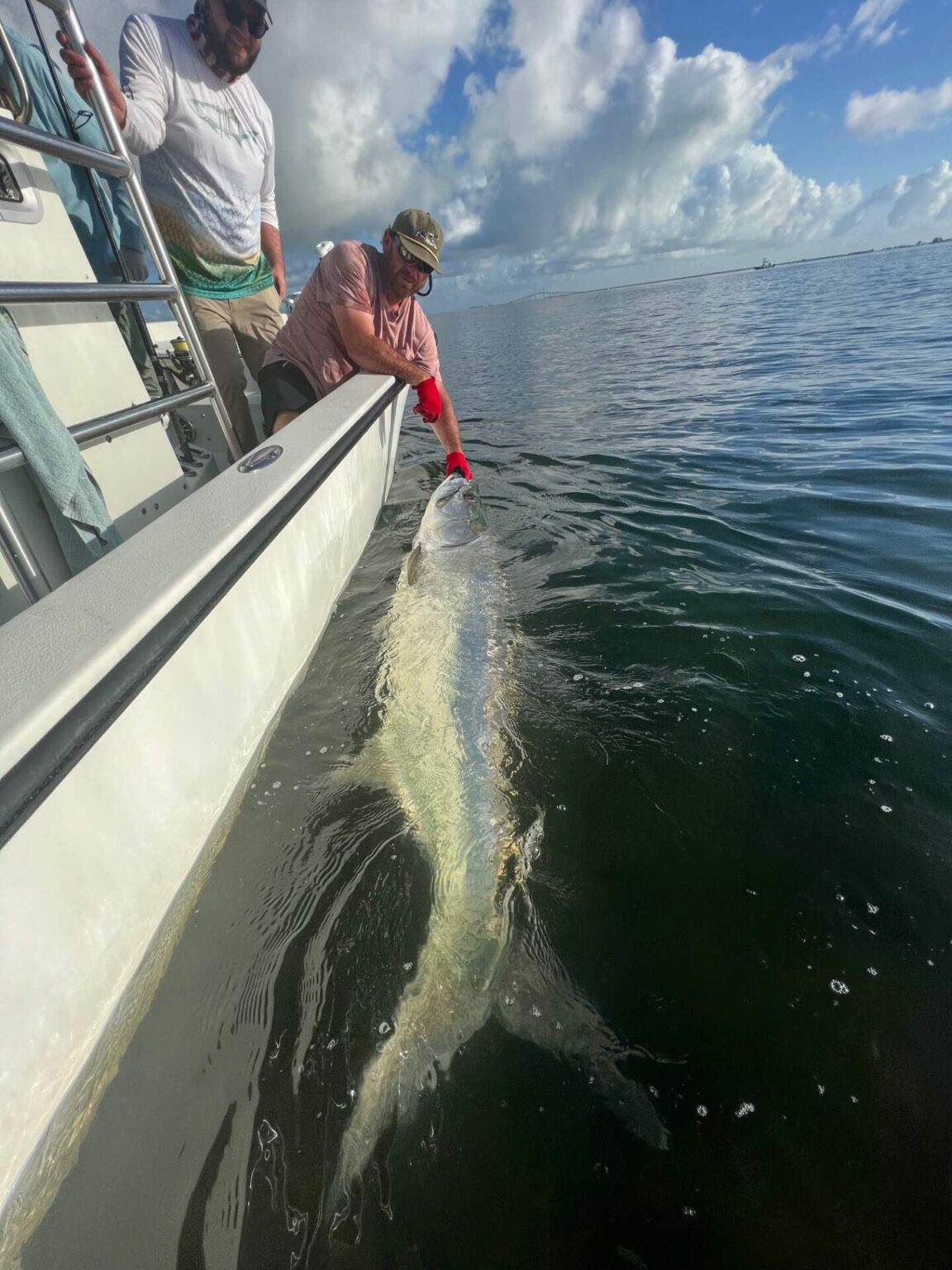 The Complete Guide to Tarpon and Tarpon Fishing in Tampa Bay