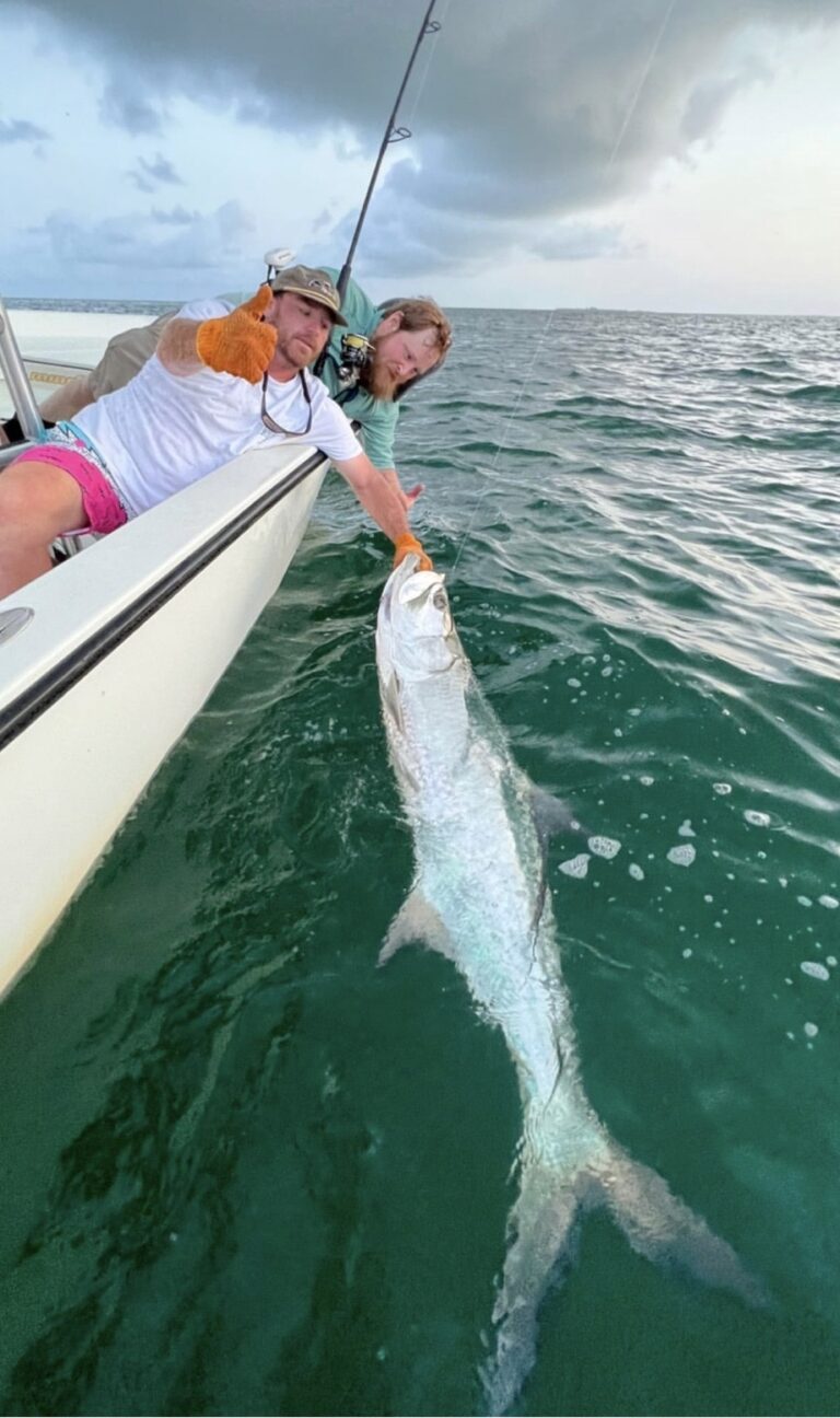 The Complete Guide to Tarpon and Tarpon Fishing in Tampa Bay